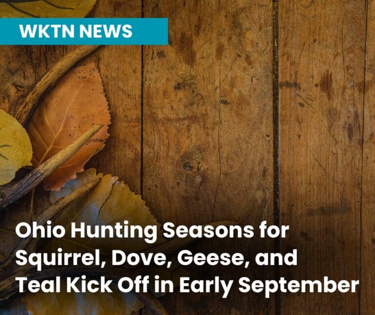 Ohio Hunting Seasons for Squirrel, Dove, Geese, and Teal Kick Off in ...